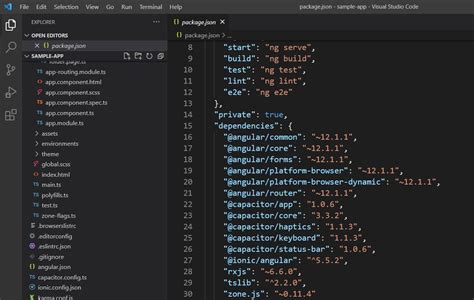 Why New Ionic Angular Project Created With Old Angular 12 Version