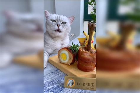路飞最爱的大棒肉比本喵的头还大绝对是肉食者的天堂你馋了没有 比本 大棒 天堂