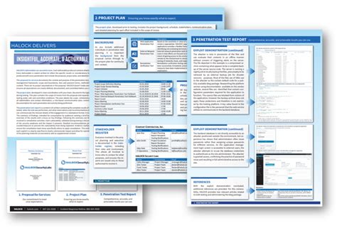 Remediation Verification Penetration Testing Halock