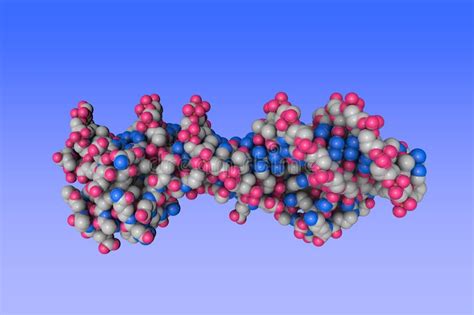 Dna Binding Domain Of Human Setmar In Complex With Hsmar1 Terminal