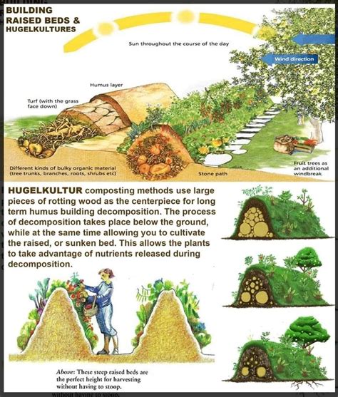 Building Raised Beds Artofit