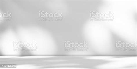 그림자 식물 배경 Abstact 패턴 텍스처 오버레이 테이블 벽에 흰색 태양 빛 나뭇잎 프레젠테이션 제품에 대 한 디자인 인테리어 룸 템플릿 모형 창문에 대한 스톡 사진 및