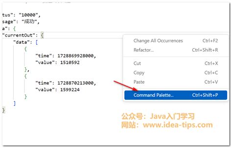 Vscode如何更改文件语言模式为json格式