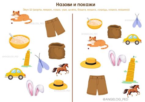 Автоматизация С в 2025 г Логопедические игры Детские заметки Занятия для дошкольников