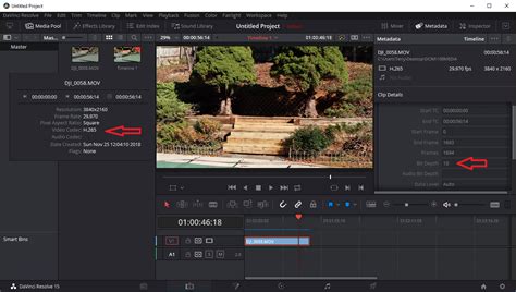 How To Export Davinci Resolve 17 To Mp4 Musclefer