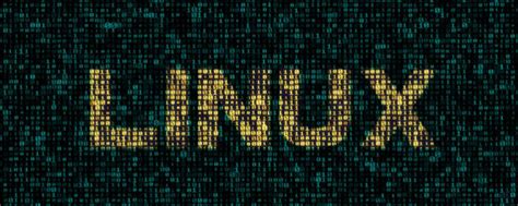 Kali Linux Tools Ncat Netcat Nc Hackyourmom