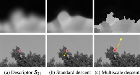 Figure 4 From Local Texture Based Color Transfer And Colorization