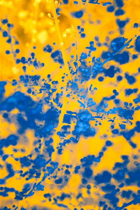 거품이 잔뜩 있는 노란색과 파란색 배경 사진 Unsplash의 무료 플래그 이미지