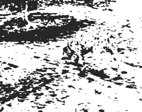 Principles Of Gestalt System Psynso