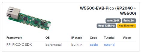 Raspberry Pi Pico W5500 In Mongoose