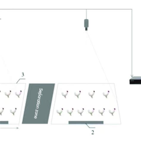 structure diagram of the experimental field download scientific diagram