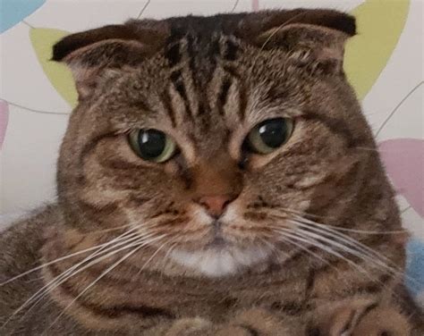 Github 블로그 마크다운markdown 문법 총 정리 평생 공부 블로그 Today I Learned‍ 🌙