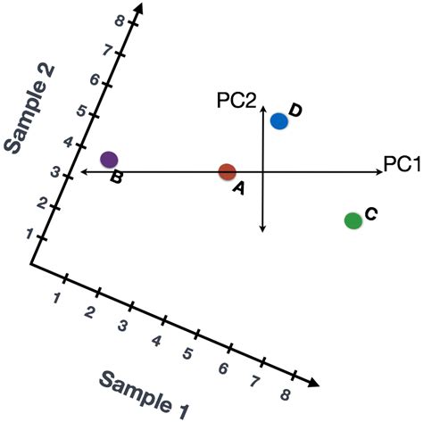 Single Cell Rna Seq Theory Of Normalization And Pca Introduction To Single Cell Rna Seq