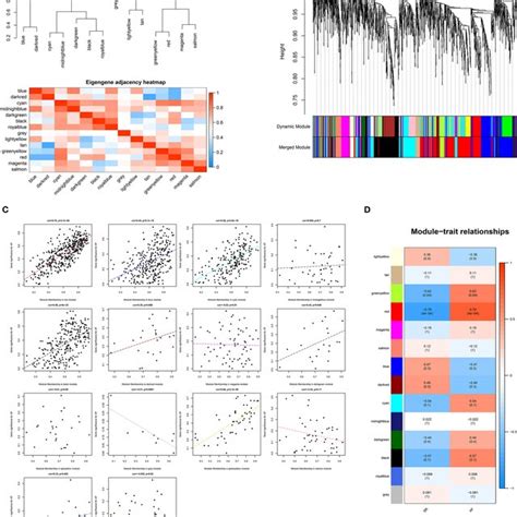 Weighted Genes Correlation Network Analysis A The Clustering Heatmap Download Scientific