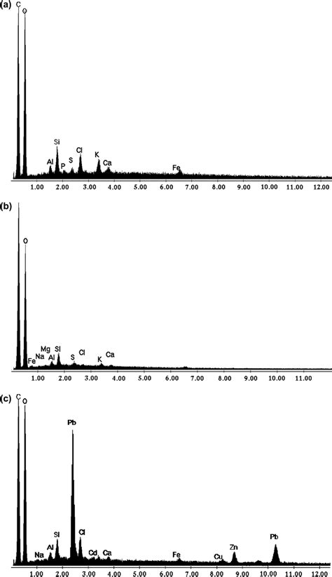 X Ray Sem Microanalysis From Unexposed A And 3 Month Exposed P Download Scientific Diagram