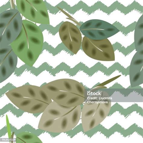 트로 픽 마 란은 파스텔 그린 톤으로 나뭇잎 벡터 원활한 그림 지그재그 라인의 배경은 손으로 그린 브러시 배경입니다 여름 패턴 식물 세계 Jugli 숲 열 대 이국적인 계획