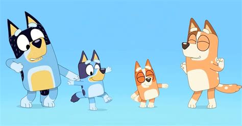 Bluey En Streaming Direct Et Replay Sur Canal Canal