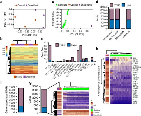 A Personalized Medicine Approach Identifies Enasidenib As An Efficient