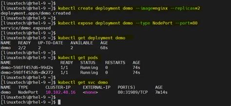 How To Install Minikube On Rhel 9 Step By Step