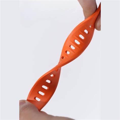 برند Blueo بلو