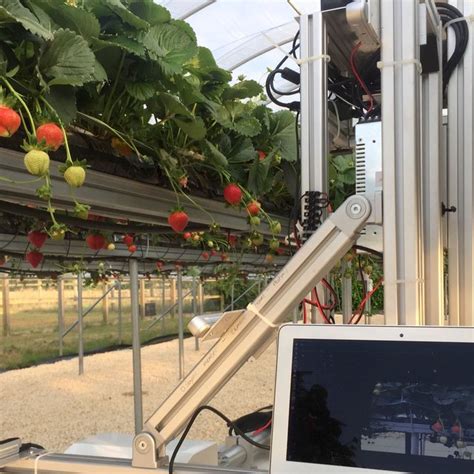 PDF L A B Fruits A Rapid And Robust Outdoor Fruit Detection System Combining Bio Inspired