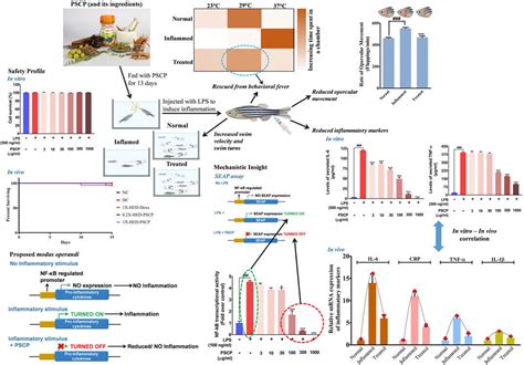Garima Yadav Posted On Linkedin