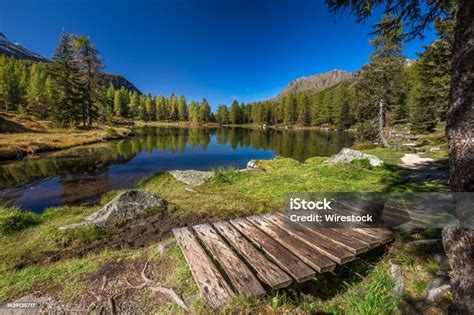 바위로 둘러싸인 호수와 이탈리아의 푸른 하늘 아래 물을 반사하는 나무가있는 숲 0명에 대한 스톡 사진 및 기타 이미지 0명 경관 녹색 Istock
