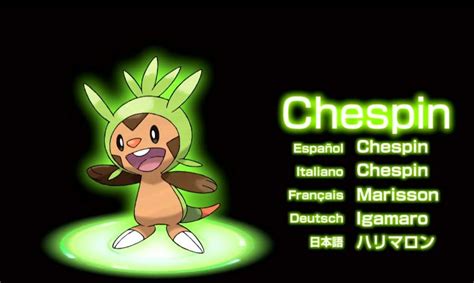 Chespin Pokemon X And Pokemon Y Version Photo 33250125 Fanpop
