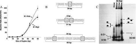 Spacing In Linear Molecules A An Homologous Series Of Download