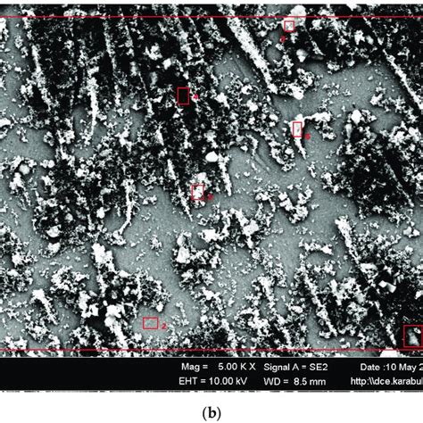 A Microstructure Sem Images And B Eds Analysis Of Shape Memory Alloy Download Scientific