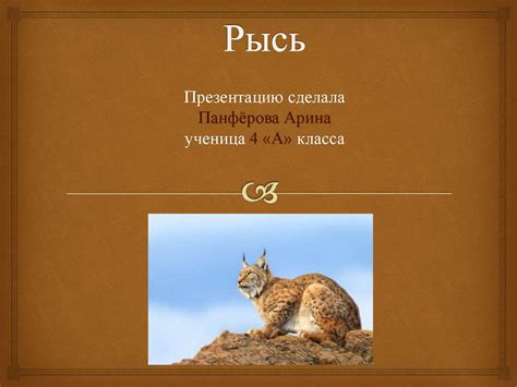 Рысь - презентация онлайн