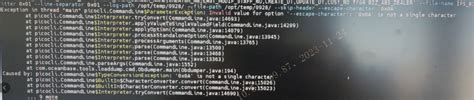 Obdumper Escape Character 报错，提示 Commandlineparameterexception Invalid Value For Option