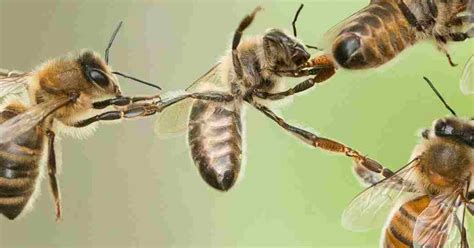 Esma Publishes Updated Sustainable Finance Implementation Timeline