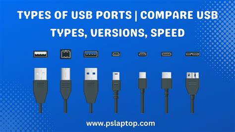 What Are The Types Of Usb Ports At Frederick Kowalski Blog