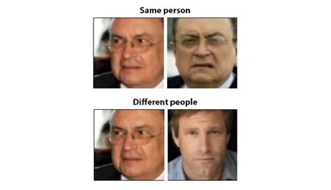 Nnapi Low Level Api For Using Npu On Android By David Cochard Ailia Ai Medium