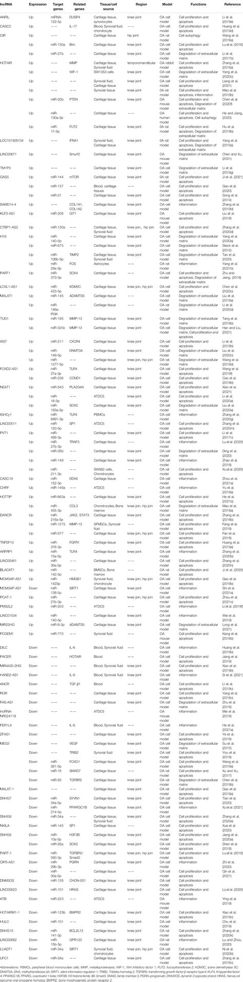 Frontiers Crosstalk Among CircRNA LncRNA MiRNA And MRNA In