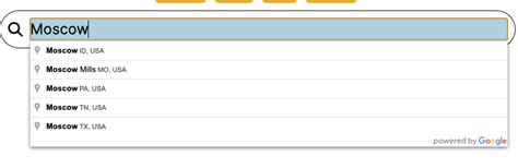 How To Style The Dropdown With Google Suggestions Issue Errorpro React Google
