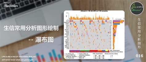 生信常用分析图形绘制01 各种类型的热图！你学会了吗？ 知乎