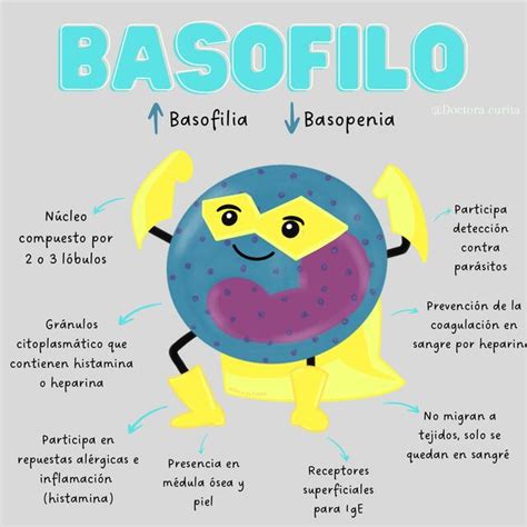 Basofilo Doctora Curita Udocz