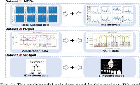 Figure 1 From Multimodal Gait Recognition For Neurodegenerative Diseases Semantic Scholar