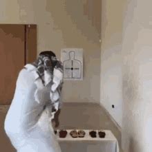 Shoe Throwing Get Out  Shoe Throwing Get Out Go Away Discover And Share S
