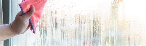 What Can Humidity Do To Your Home Chancey Reynolds