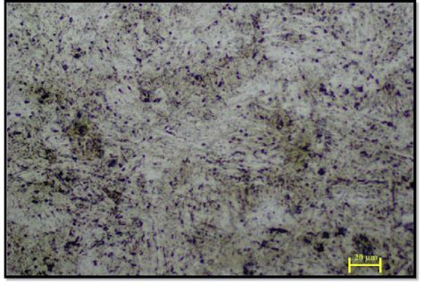 C Microstructure Of Heat Affected Zone Of Sa516 Grade 70 Steel Download Scientific Diagram