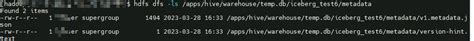 File Does Not Exist Apps Hive Warehouse Temp Db Iceberg Test Metadata Version Hint Text