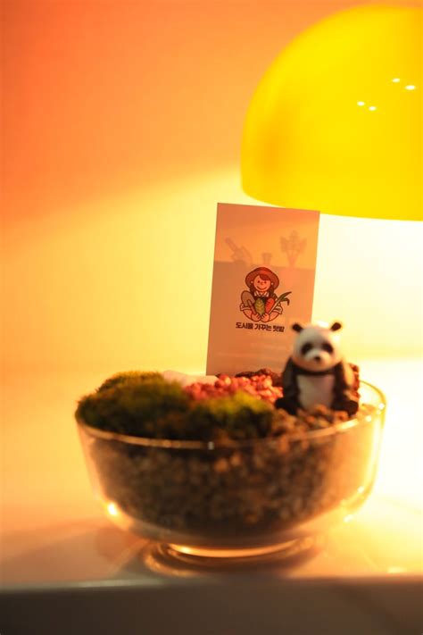 테라리움 이끼 만들기 키트 나만의 작은 숲 네이버 블로그