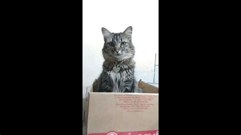 Mari The Best Way To Handle Promises In React