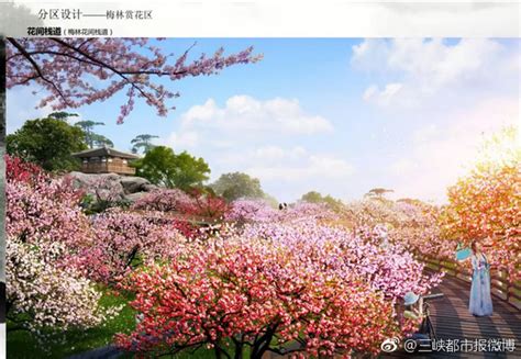 太白岩公园就要大变样了 图片资讯 轩啸之家