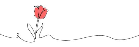 튤립 한 선 그리기 추상 꽃 연속 라인입니다 튤립의 미니멀리스트 윤곽 그리기 꽃 튤립의 연속 선 그리기 나뭇잎과 꽃의 손으로