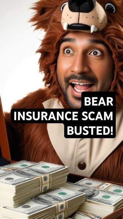 Bear Costume Insurance Scam Busted In La Youtube