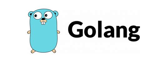 Boost Your Go Workflow 6 Must Know Build Flags By Amirreza Mohammadi Medium